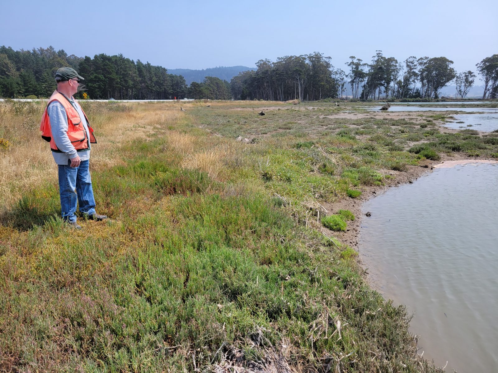 White Slough Wetlands Enhancement – Humboldt County Resource ...